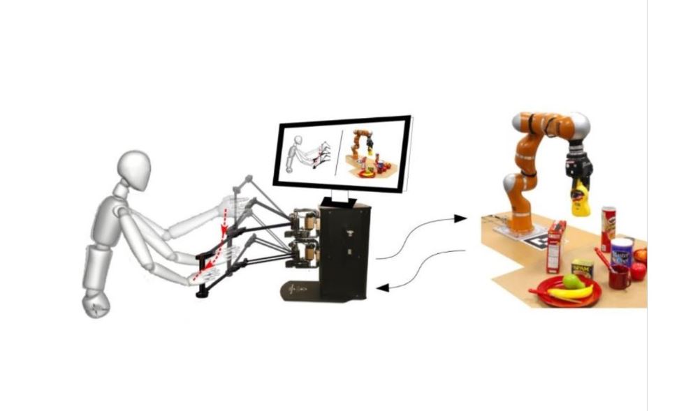 Human Posture Optimization